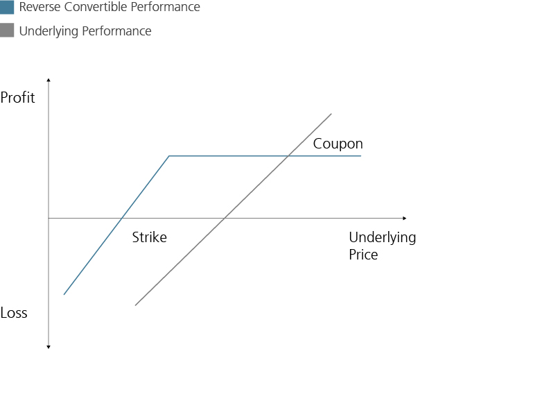 Equity Reverse Convertible - Structured Product Advisor